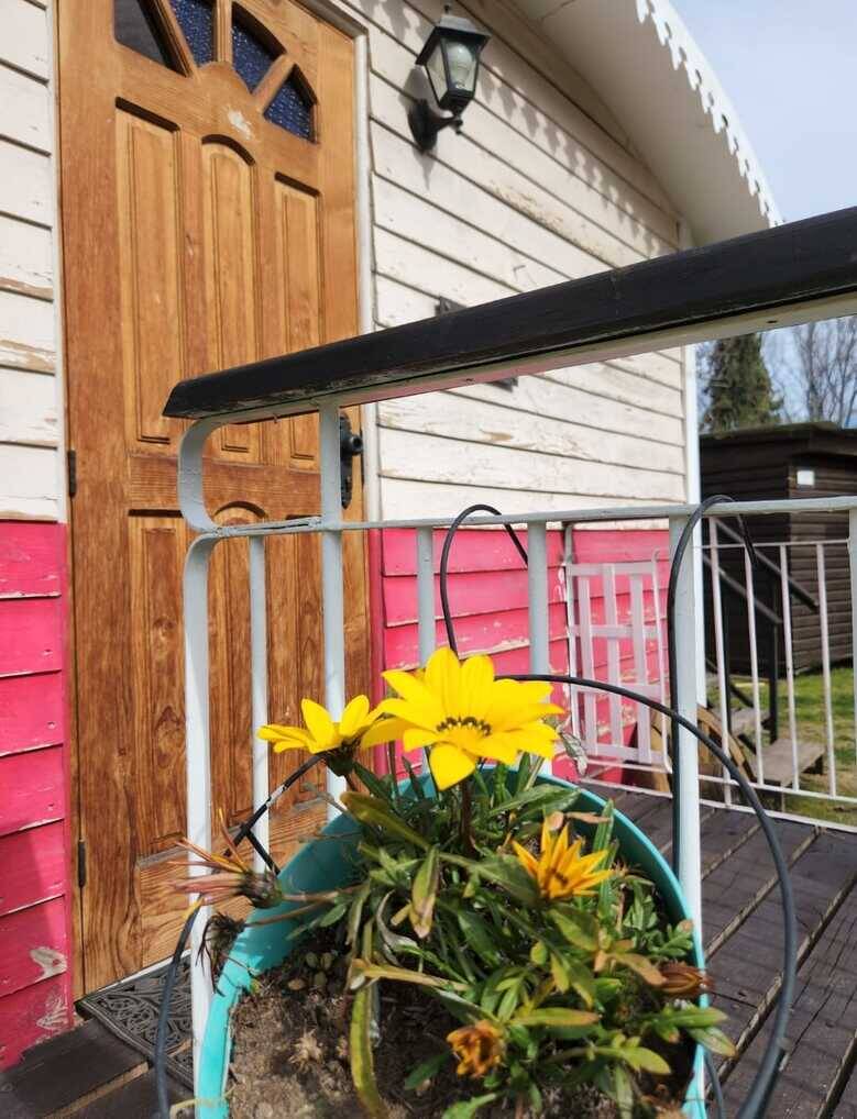 Turismo Rural No Chile: Já Pensou Em Dormir Em Um Barril De Vinho ...